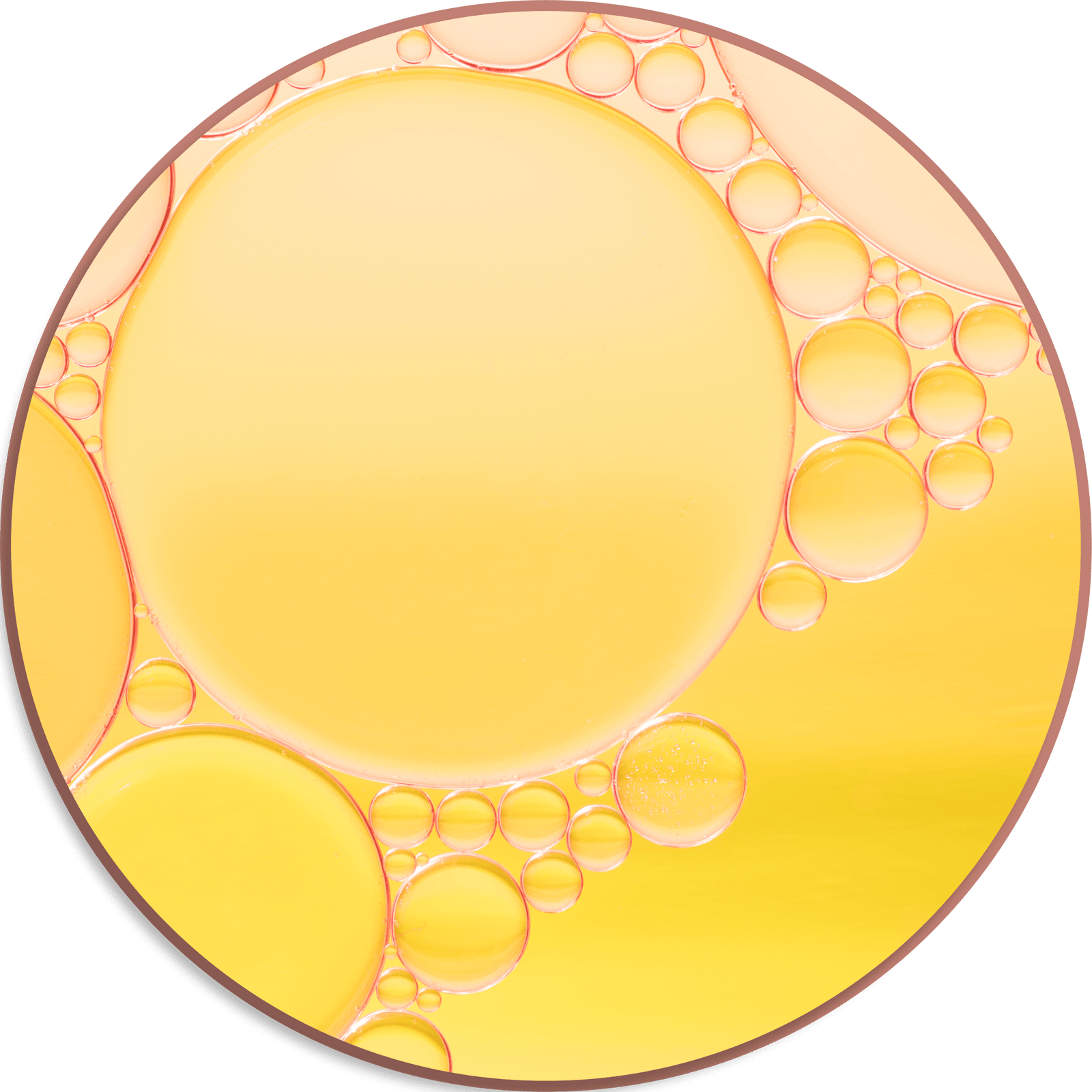 Collagen Boosting Ginseng & 2% Copper Peptide Power Serum | 30ml