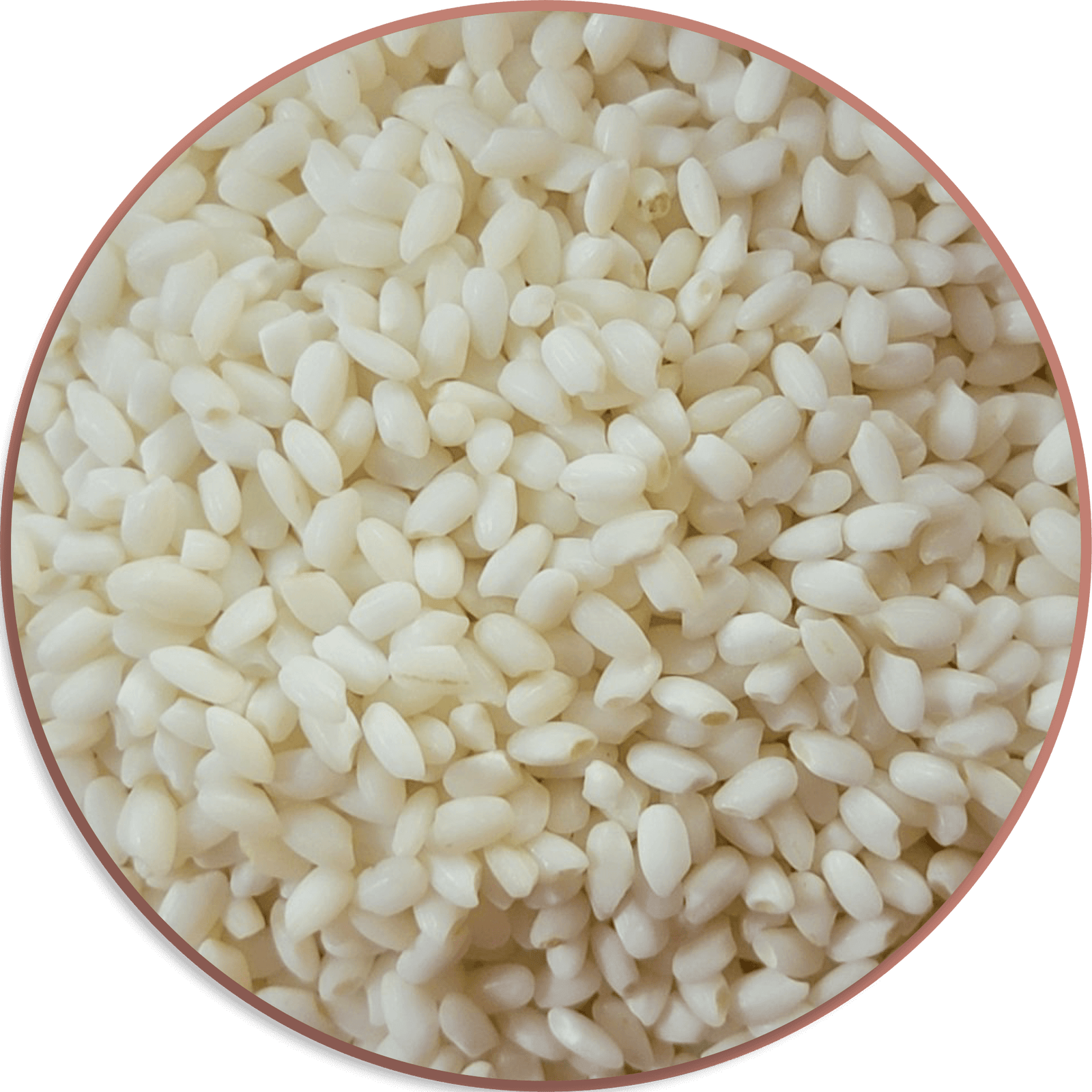 Exfoliating Azuki Beans & Koji Rice Foaming Enzyme Powder | 30g